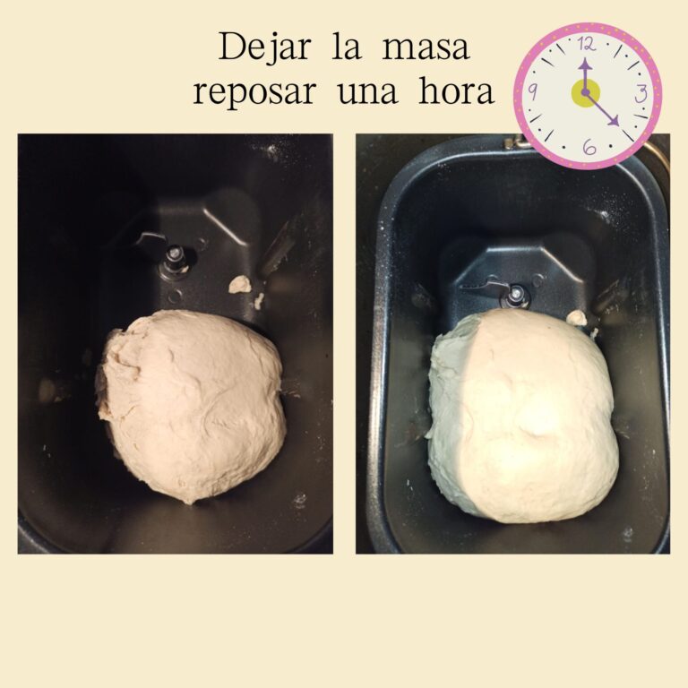 Pan Bao Perfecto: Crea Magia en tu Cocina - recetaspanificadoralidl.com